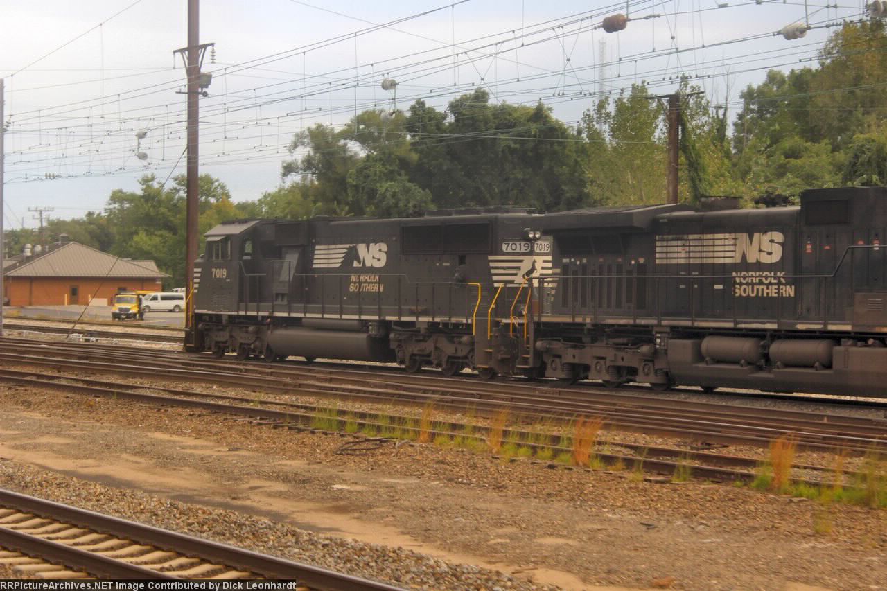NS 7019